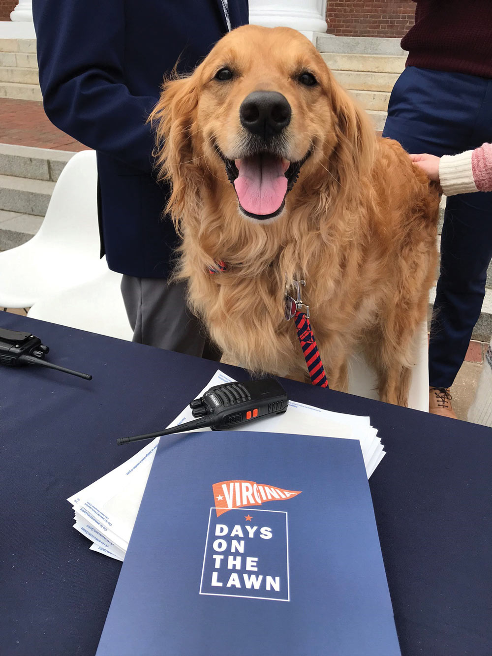 ’Hoos a Good Boy—VIRGINIA Magazine
