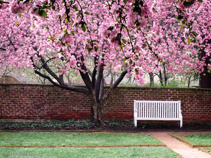 Pavilion I—VIRGINIA Magazine