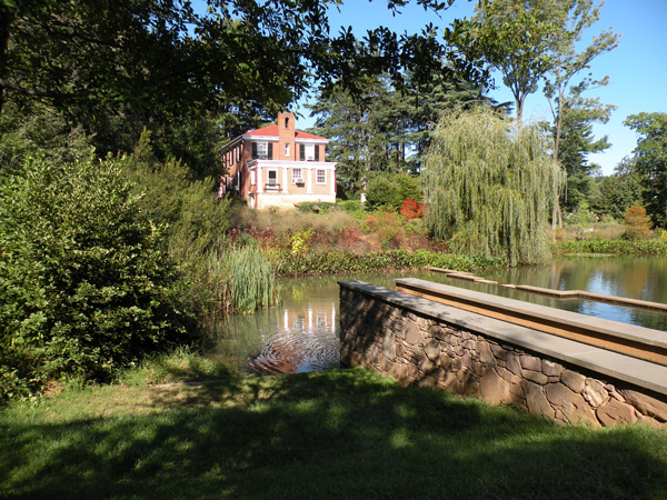 Dell Pond #1—VIRGINIA Magazine