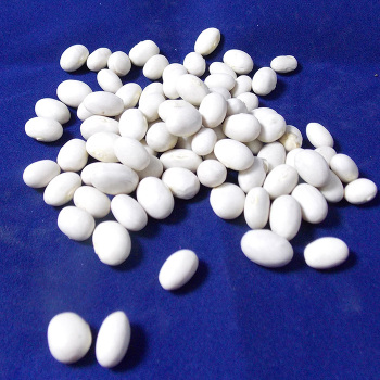 Dry Shell: Vermont Bean Seed Company