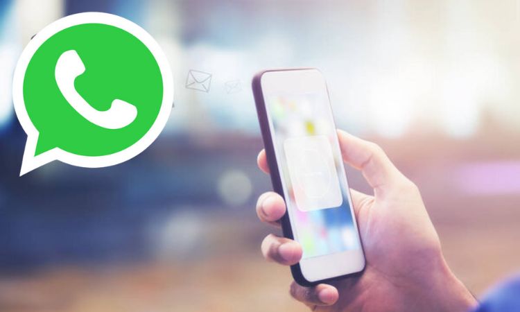 WhatsApp prepara una nueva herramienta de suscripción y envío de newsletters dentro de la app ...