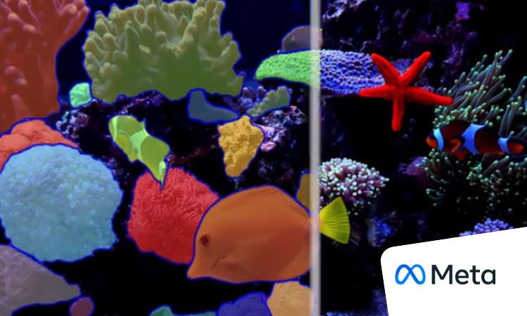 Qué es y cómo funciona SAM 2, el modelo de segmentación de elementos en ...