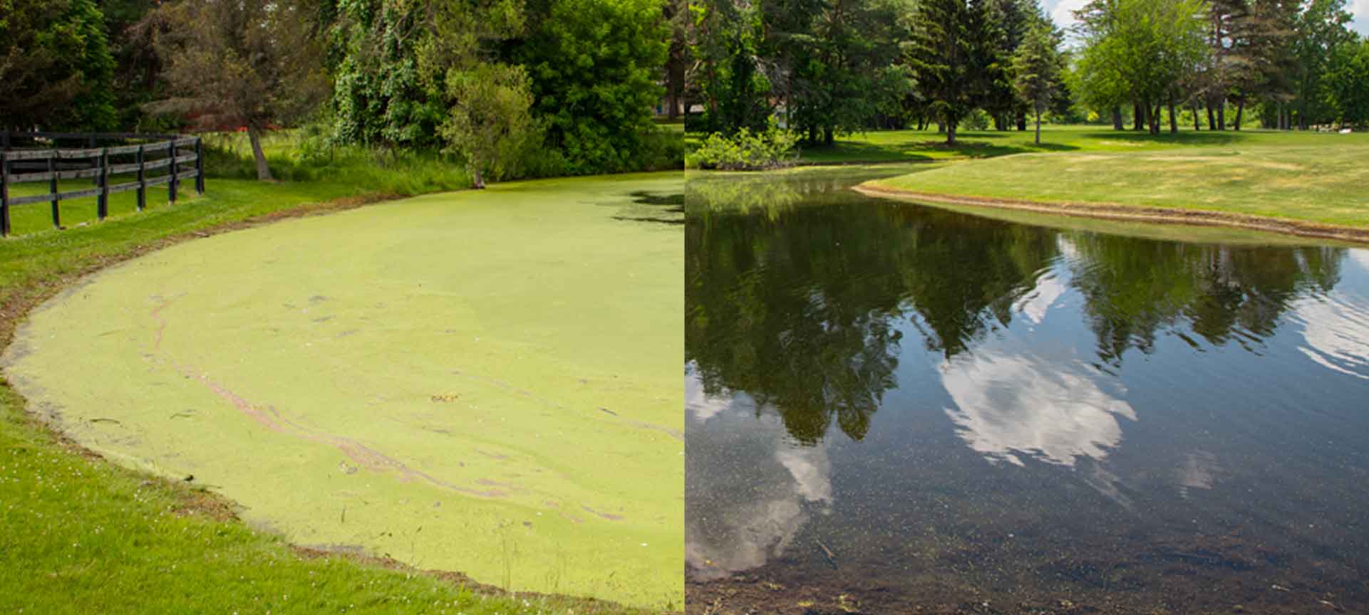 Pond & Lake Aeration, Fountains and Treatments | Airmax