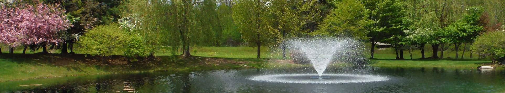 Pond and Lake Aeration Systems | Airmax