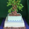 Bonsai Tree On A Birthday Cake - CakeCentral.com