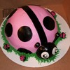 Hot Pink Ladybug Cake - CakeCentral.com