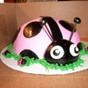 Hot Pink Ladybug Cake - CakeCentral.com