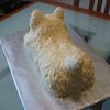 Westie Cake - CakeCentral.com