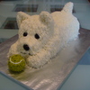 Westie Cake - CakeCentral.com