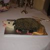 Possum Groom's Cake - CakeCentral.com