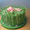 Summer Meadow - CakeCentral.com