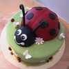 Ladybird Cake - CakeCentral.com