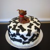 Dog Bone Cake - CakeCentral.com