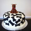 Dog Bone Cake - CakeCentral.com