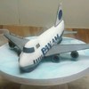 Pan Am 3D Plane - CakeCentral.com
