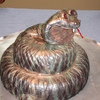 Awesome Cobra Cake - CakeCentral.com