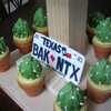 Texas Mailbox Cake - CakeCentral.com