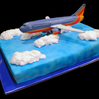 Southwest Airlines Cake Gallery on Cake Central