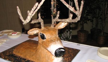 3-D Deer - CakeCentral.com