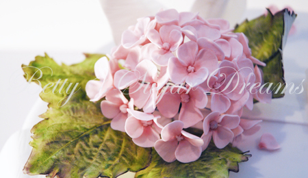 Discworld - CakeCentral.com