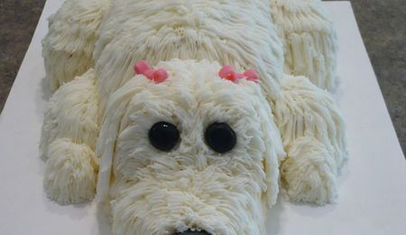 Little White Dog - CakeCentral.com