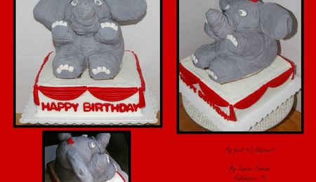 Elmer The Elephant (And Friends) - CakeCentral.com