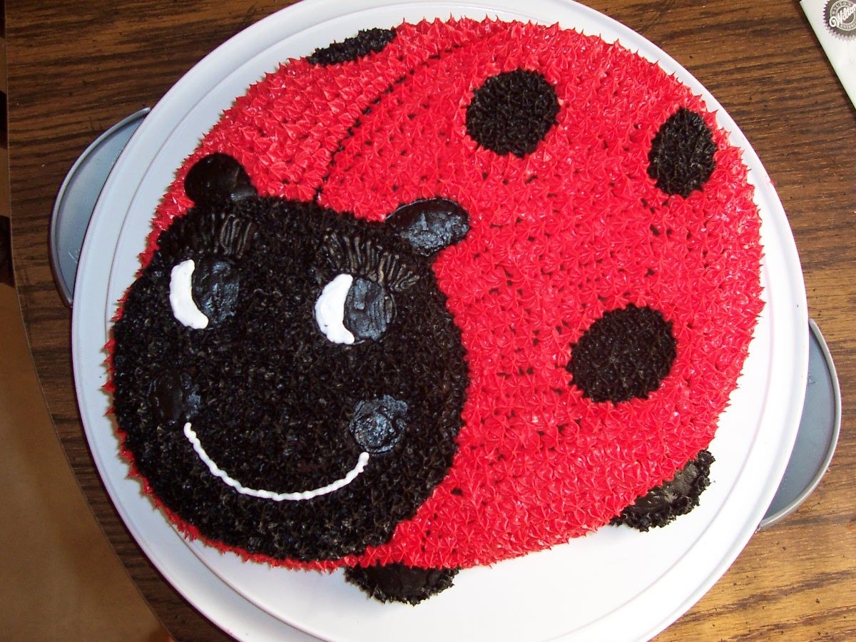 Lady Bird Birthday Cake - CakeCentral.com