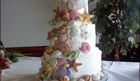 Chocolate Reef - CakeCentral.com