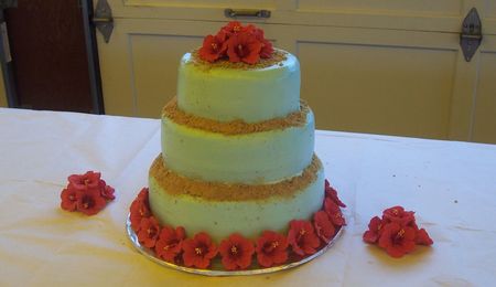 Hibiscus Cake - CakeCentral.com