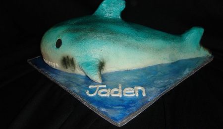 Jaws Birthday Cake - CakeCentral.com