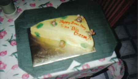 Mice Infested Cheese - CakeCentral.com