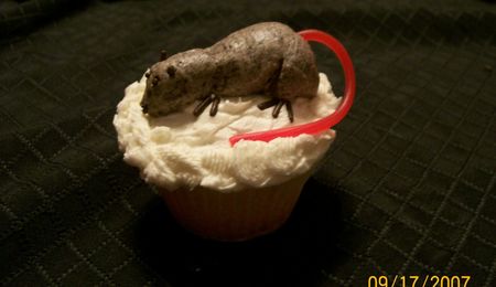 Maggot Therapy Cupcakes - CakeCentral.com