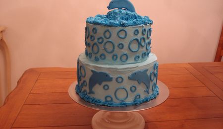 Shamu Orca Killer Whale And Dolphins Cake - CakeCentral.com