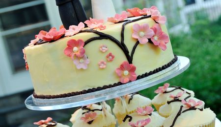Cherry Blossoms - CakeCentral.com