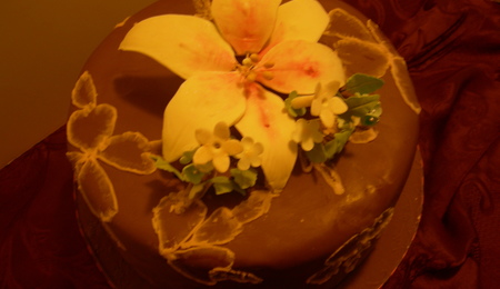 Work In Progress - CakeCentral.com