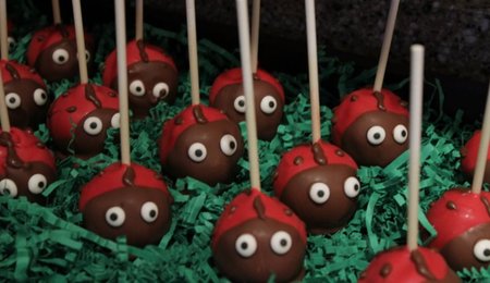 Ladybird Cake Pops - CakeCentral.com