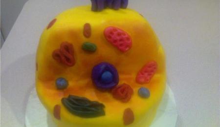 Animal Cell Cake For Science Project - CakeCentral.com