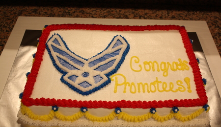 Air Force Hail & Farewell Cake - CakeCentral.com