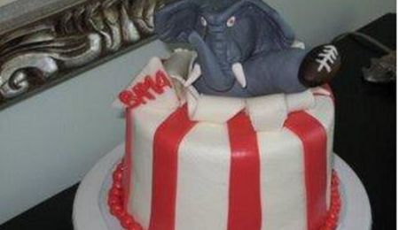 University Of Alabama Nursing Graduate Cake - CakeCentral.com