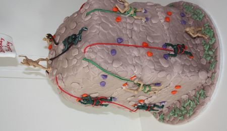 Indoor Rock Climbing Birthday Cake - CakeCentral.com