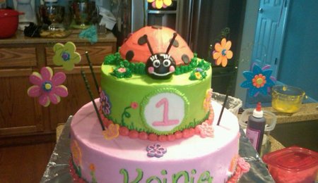 Pink Ladybug Birthday Cake - CakeCentral.com