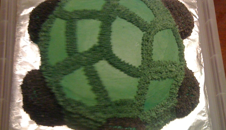 Turtle Cake - CakeCentral.com