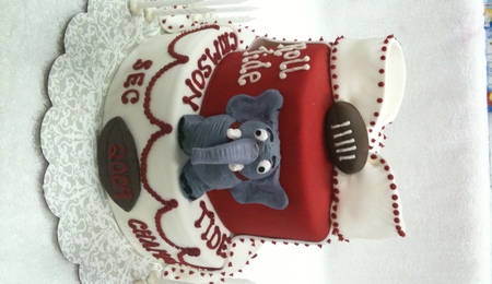 University Of Alabama Nursing Graduate Cake - CakeCentral.com