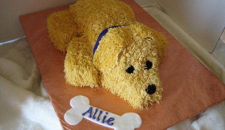 Beaver Dam - CakeCentral.com