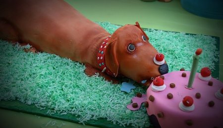 Jake The Border Terrier Cake - CakeCentral.com