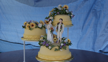 The Couple Asked For A Elegant Winter Themed Wedding Cake In Red With ...