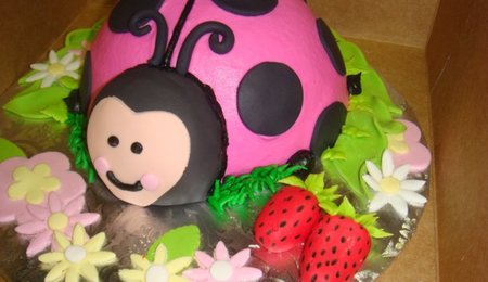 Pink Ladybug Birthday Cake - CakeCentral.com