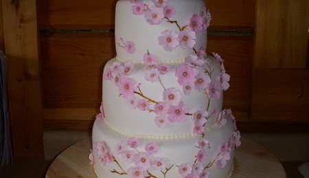 C130 Anniversary Cake - CakeCentral.com