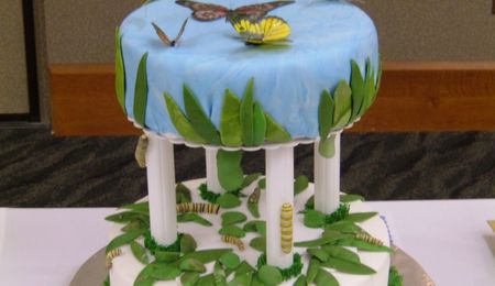 Eric Carle Cupcakes - CakeCentral.com