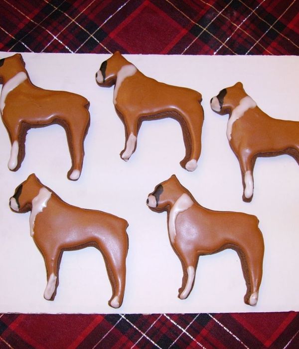 Top Cakes with Dogs - CakeCentral.com